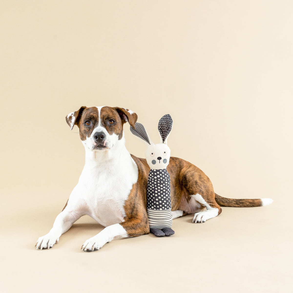 PETSHOP ALL EARS RABBIT CANVAS DOG TOY – PetShop by Fringe Studio