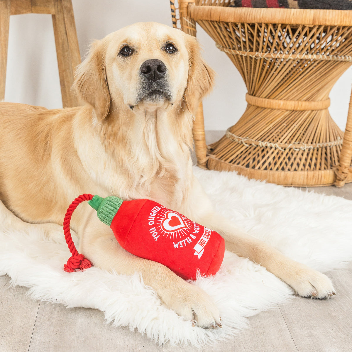 PETSHOP HEARTS ON FIRE DOG TOY – PetShop by Fringe Studio