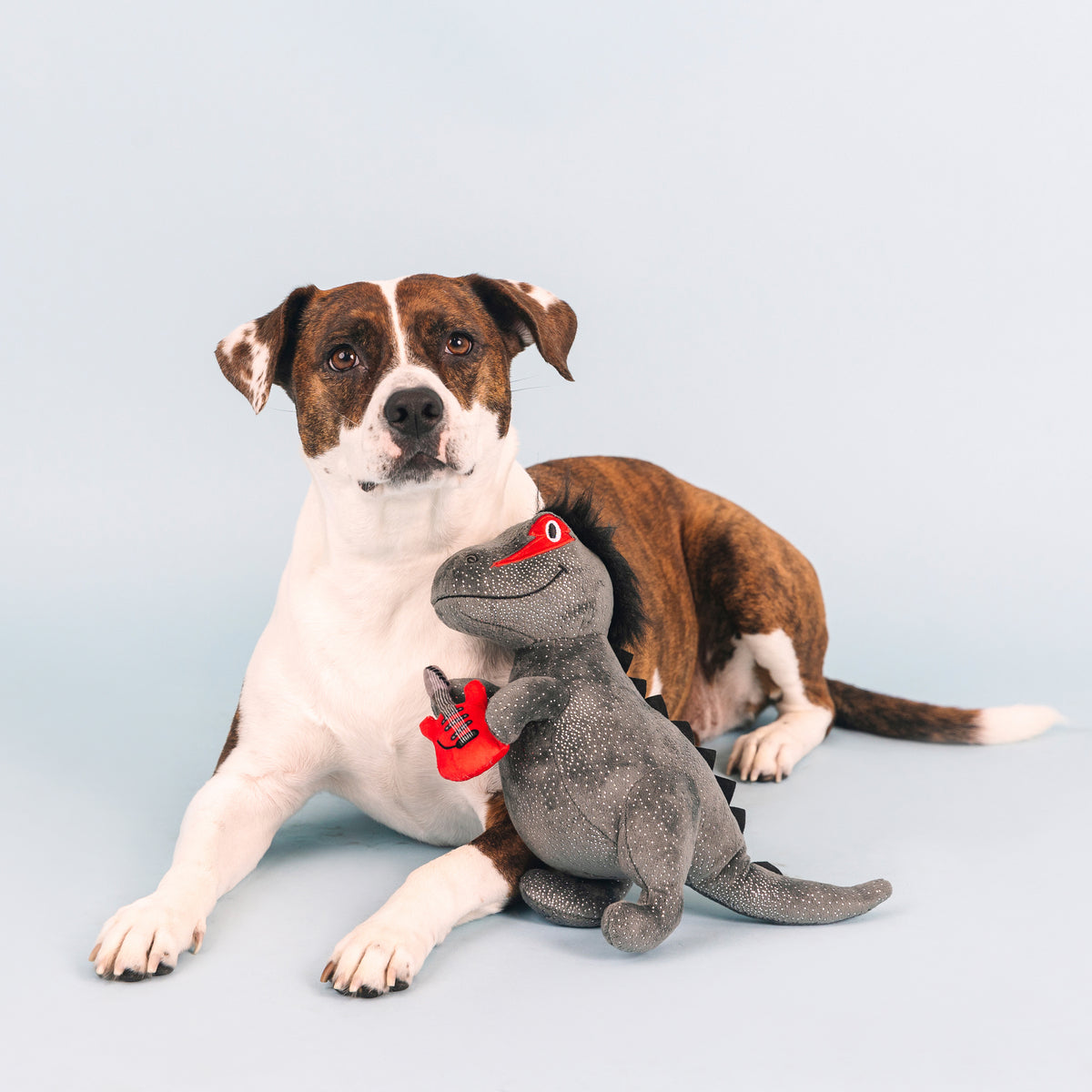 PETSHOP ROCKER REX DOG TOY – PetShop by Fringe Studio