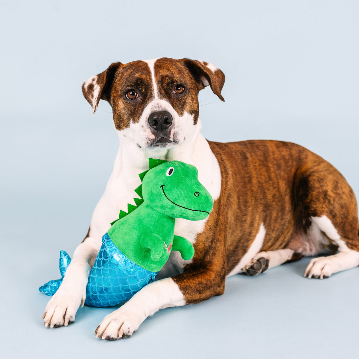 PETSHOP MER-REX DOG TOY – PetShop by Fringe Studio