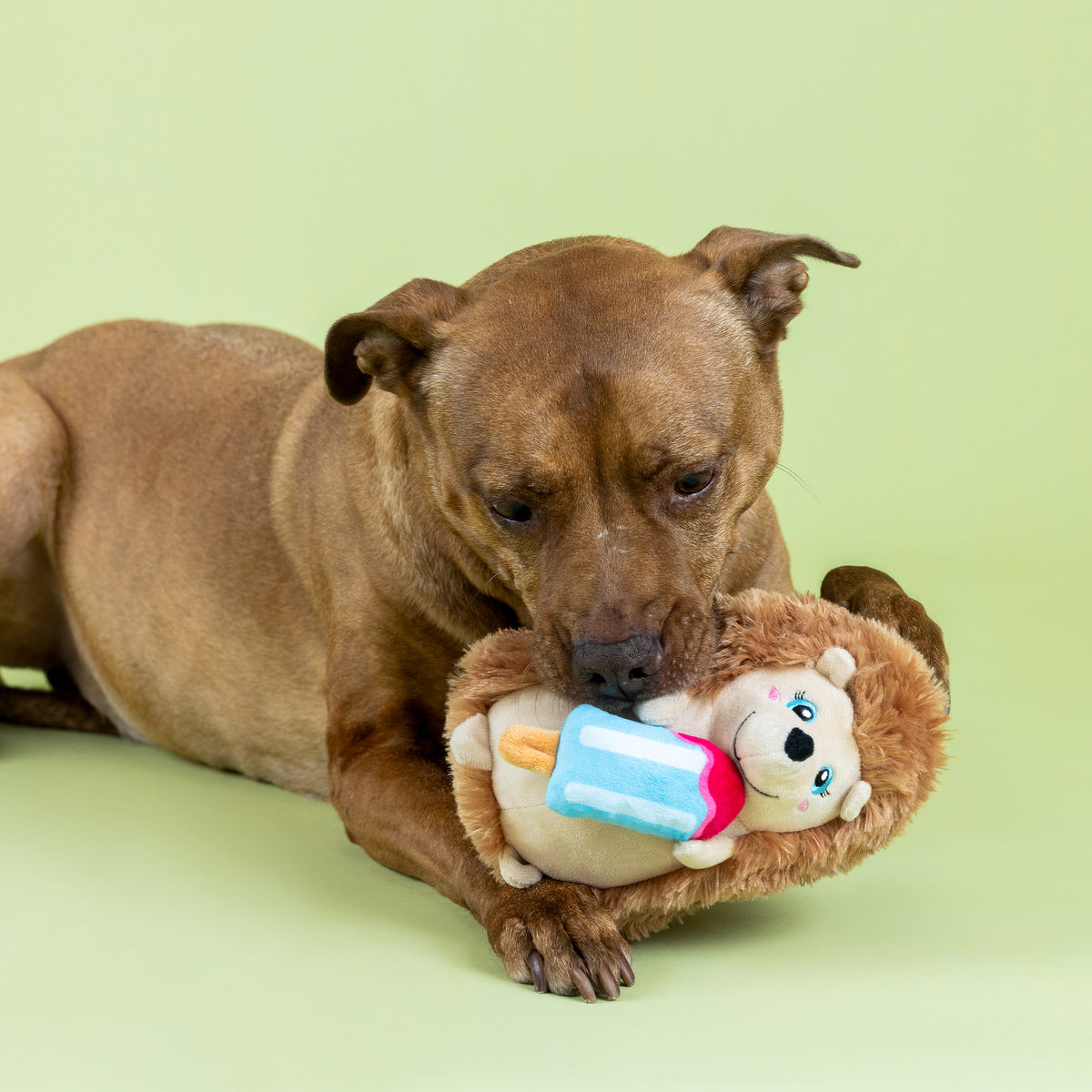 PETSHOP BE COOL, BE HEDGY PLUSH DOG TOY – PetShop by Fringe Studio