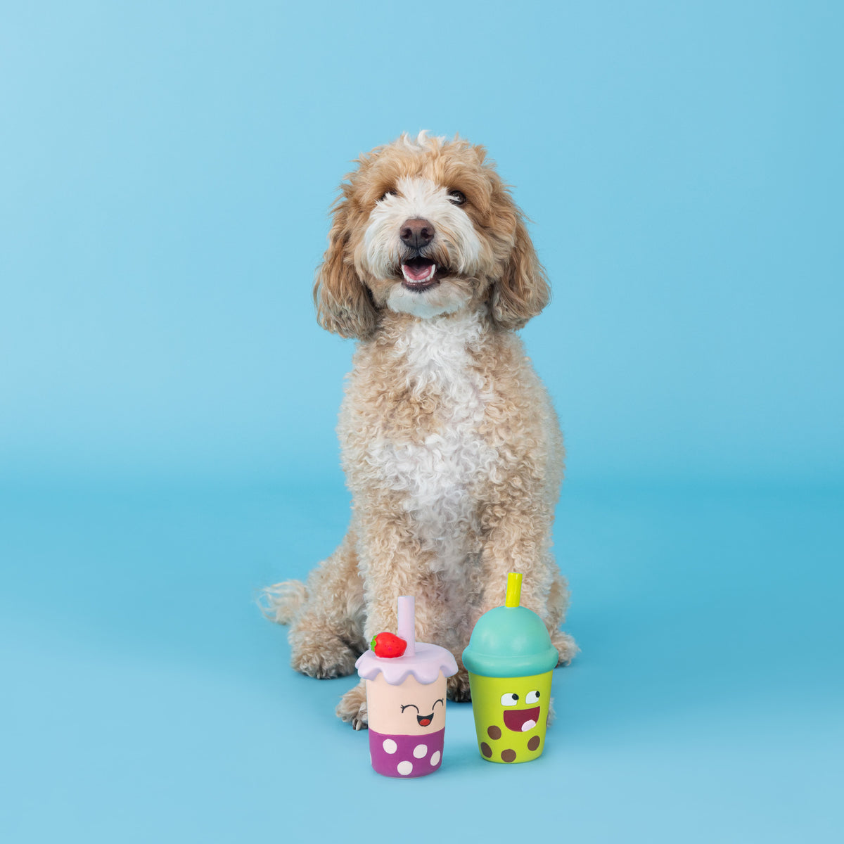 PETSHOP BEST-TEAS 2 PIECE LATEX DOG TOY – PetShop by Fringe Studio