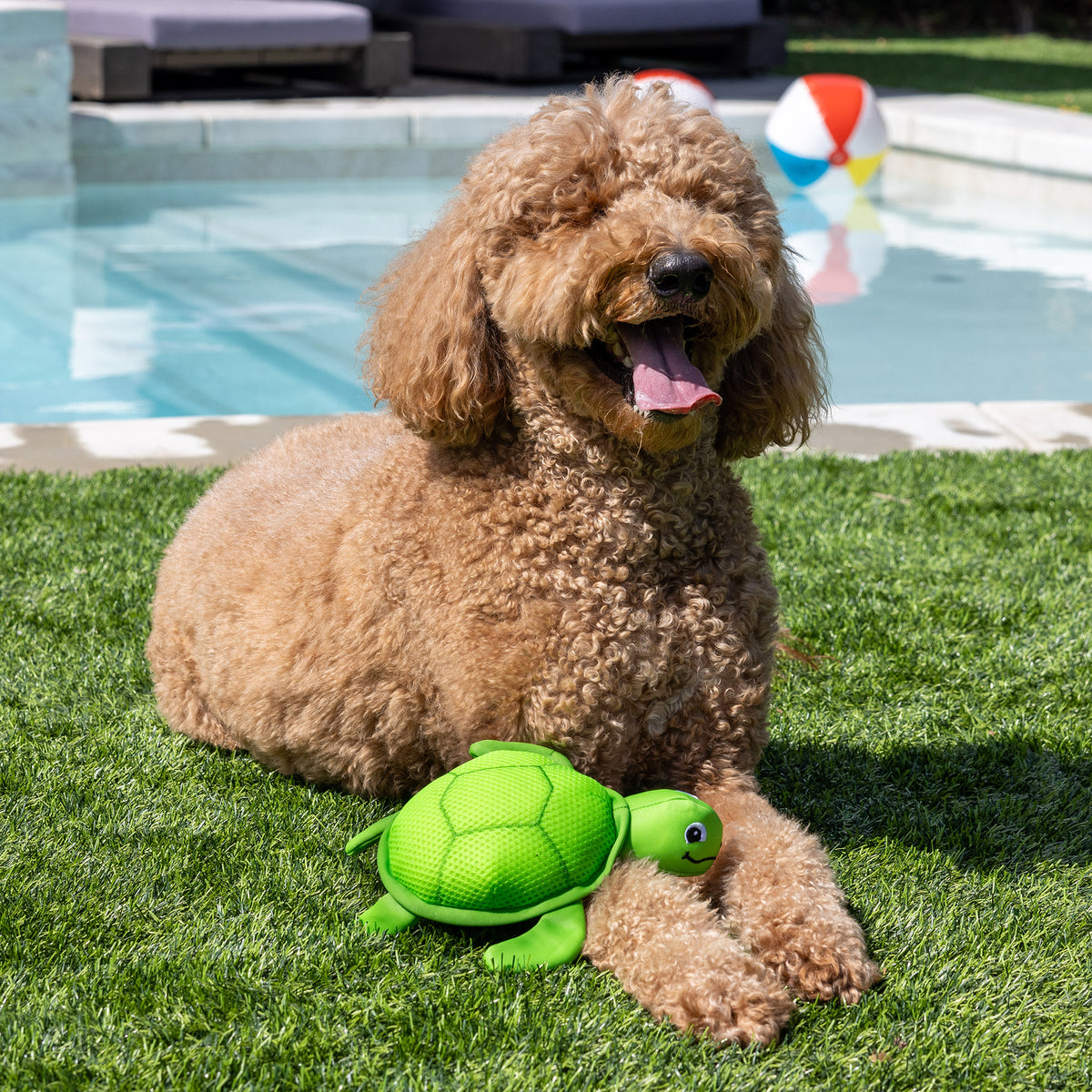 PETSHOP SNAPPY FLOATING DOG TOY – PetShop by Fringe Studio