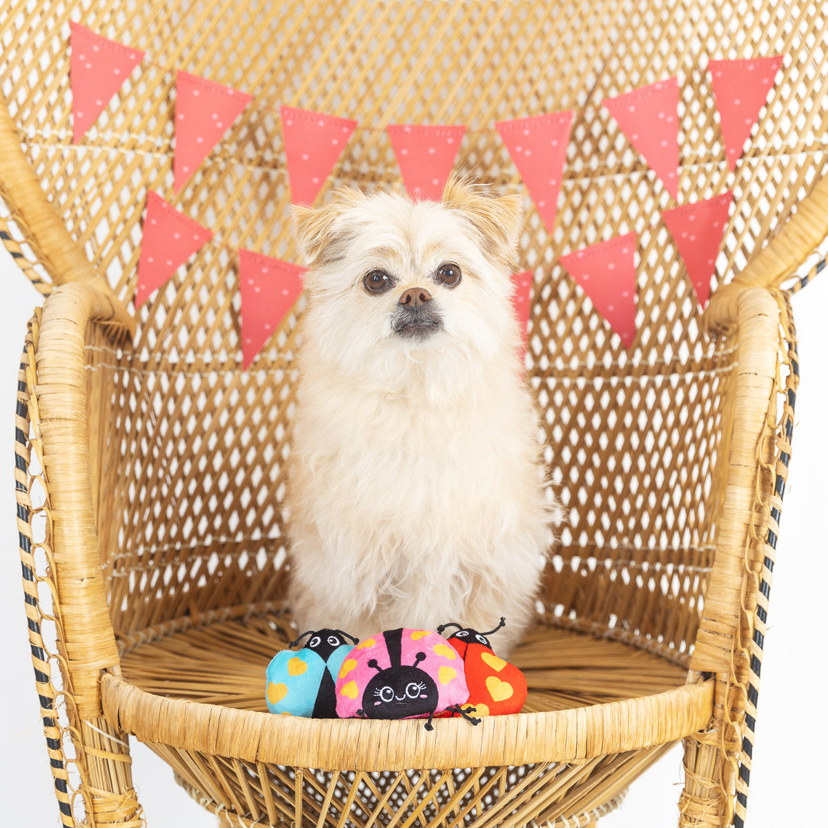 PETSHOP BUGGY FOR YOU 3PC MINI PLUSH DOG TOYS – PetShop by Fringe Studio