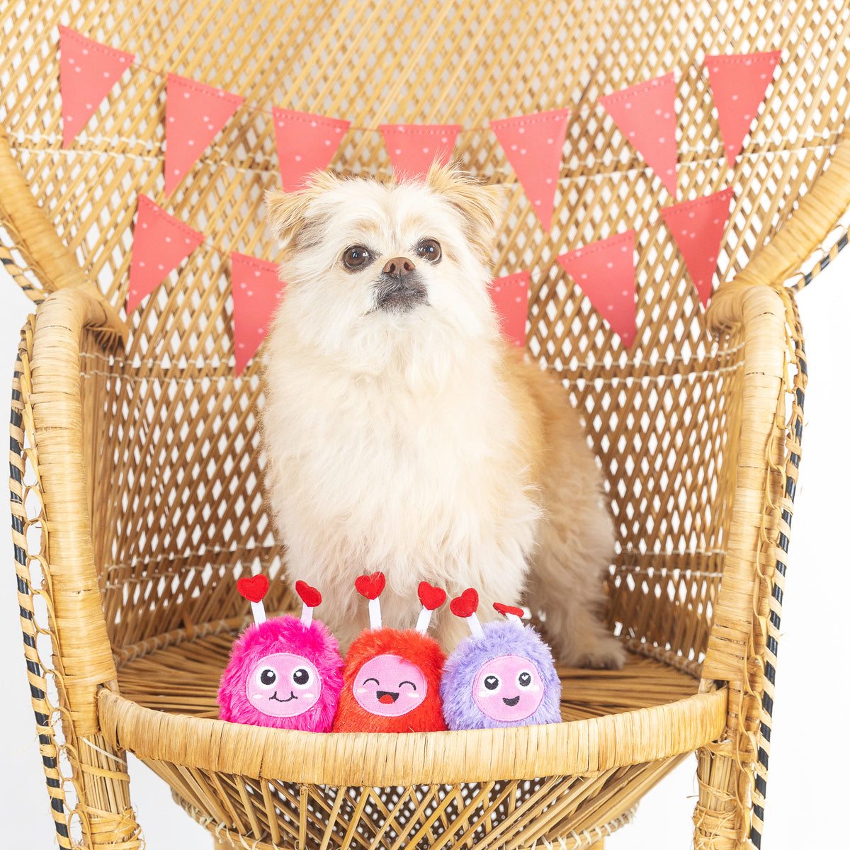 PETSHOP LOVE CONNECTION 3PC MINI PLUSH DOG TOYS – PetShop by Fringe Studio