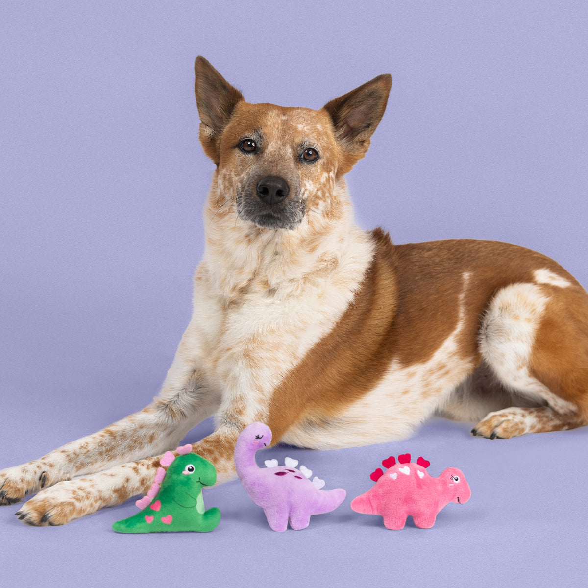 PETSHOP SAUR MUCH LOVE 3PC MINI DOG TOYS – PetShop by Fringe Studio