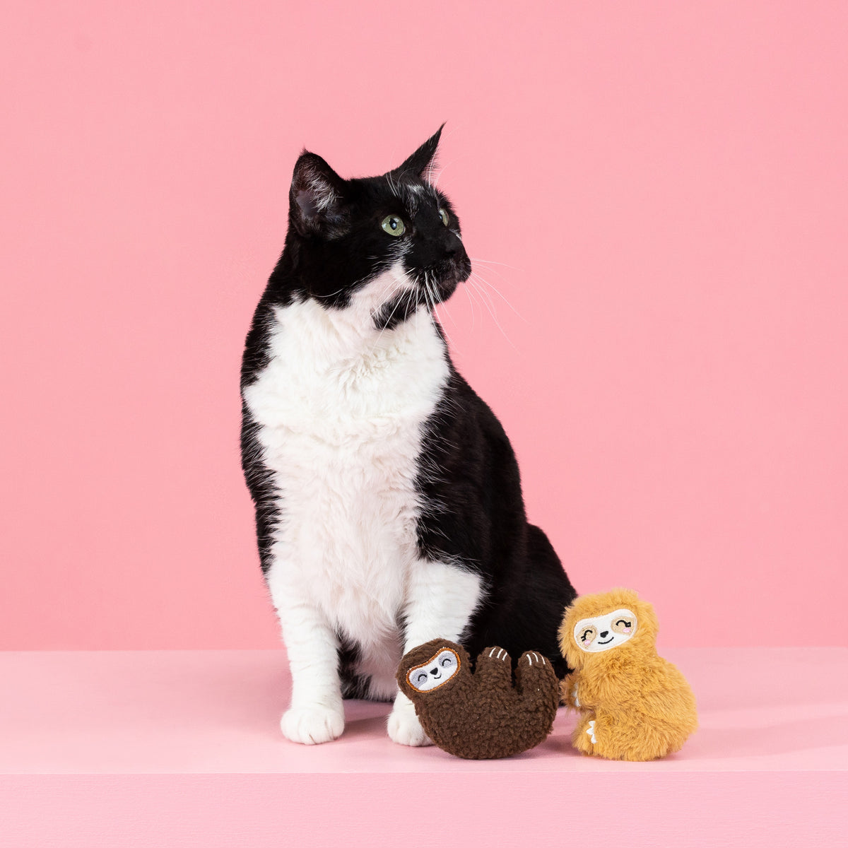 PETSHOP MOVIN' SLOW CAT TOY – PetShop by Fringe Studio
