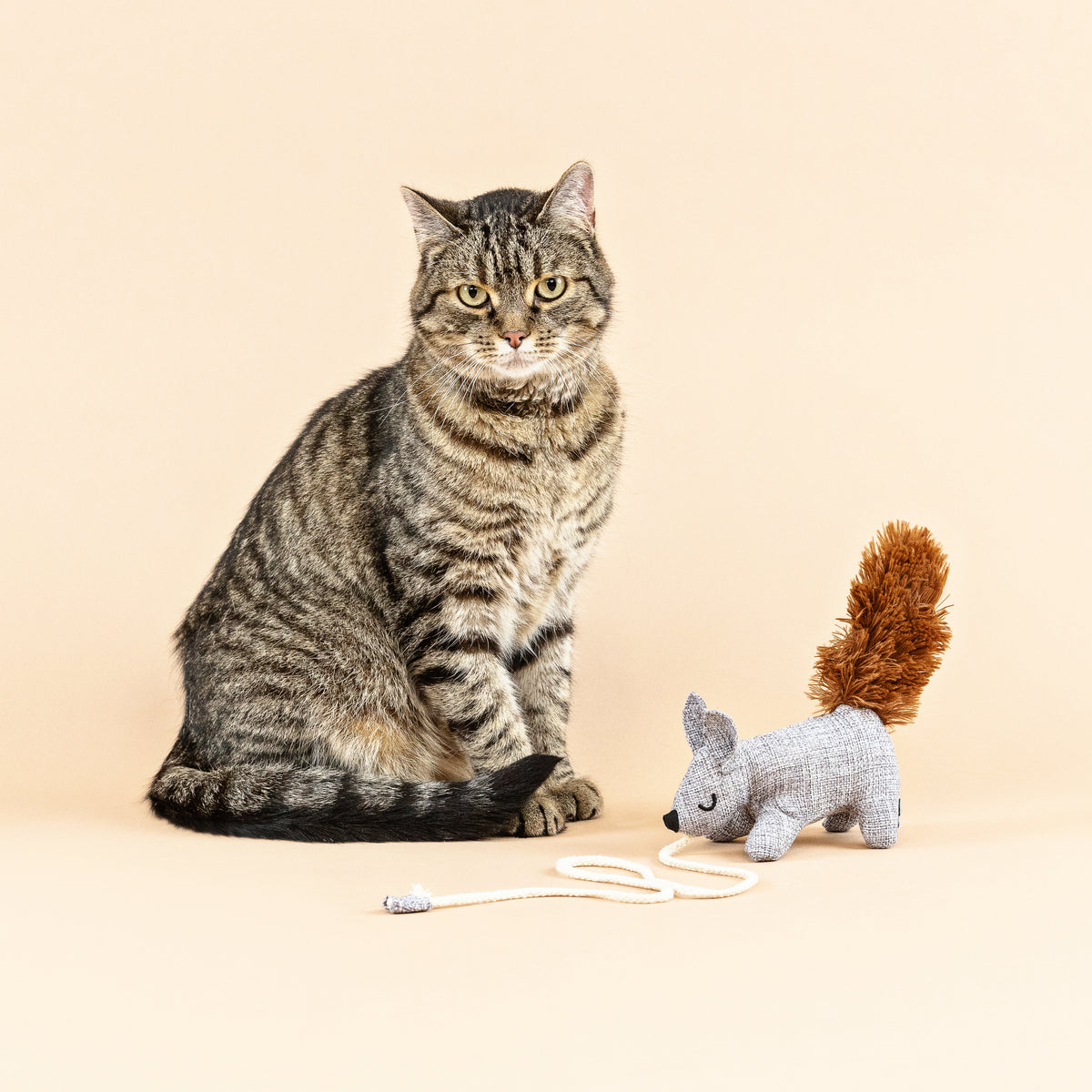 PETSHOP ONE TUFF NUT CAT TOY – PetShop by Fringe Studio