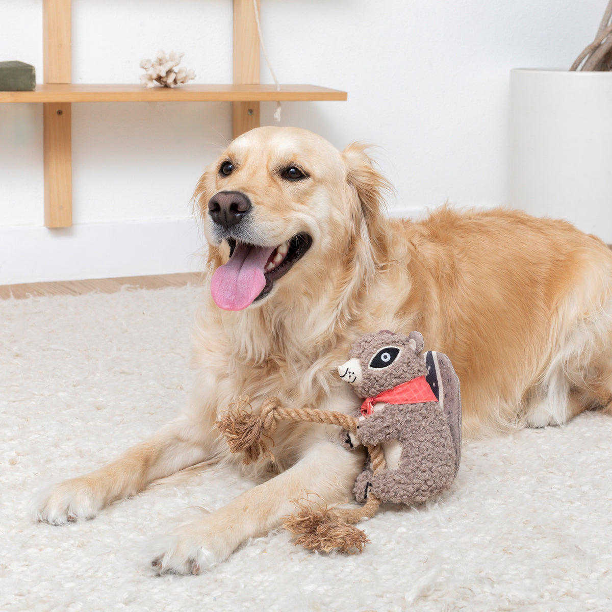 PETSHOP MS CHIP DOG TOY – PetShop by Fringe Studio