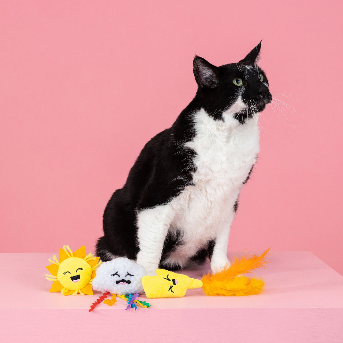 PETSHOP PURR-FECT WEATHER CAT TOY – PetShop by Fringe Studio