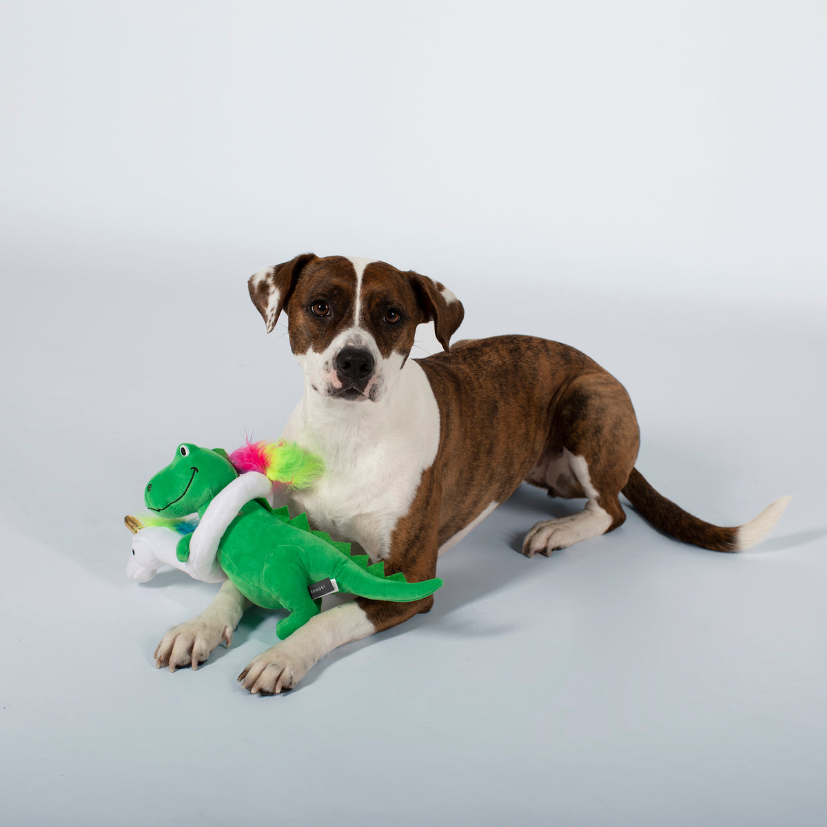 PETSHOP SUMMA TIME REX DOG TOY – PetShop by Fringe Studio