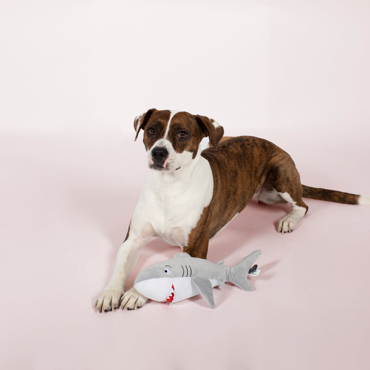 PETSHOP YOU CAN'T SWIM WITH US! DOG TOY – PetShop by Fringe Studio